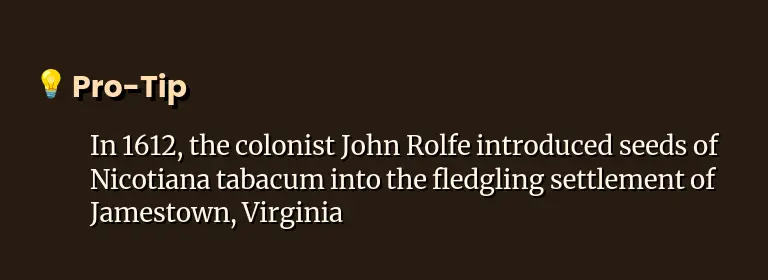 Tobacco In The United States: History, Cultivation & Trade